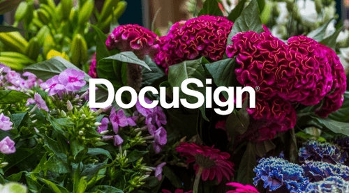 DocuSign Brand | Logo